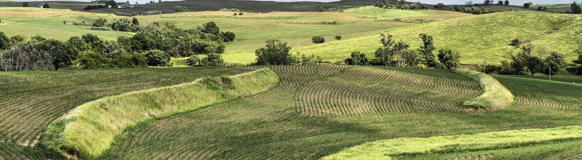 Precision Conservation